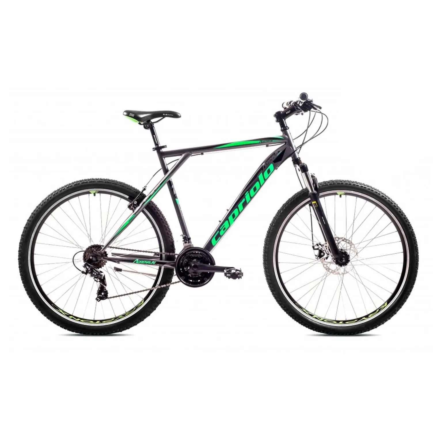 Bickl Capriolo MTB adrenalin 26''/21HT sivo-zelena 20 | Olimp Sport